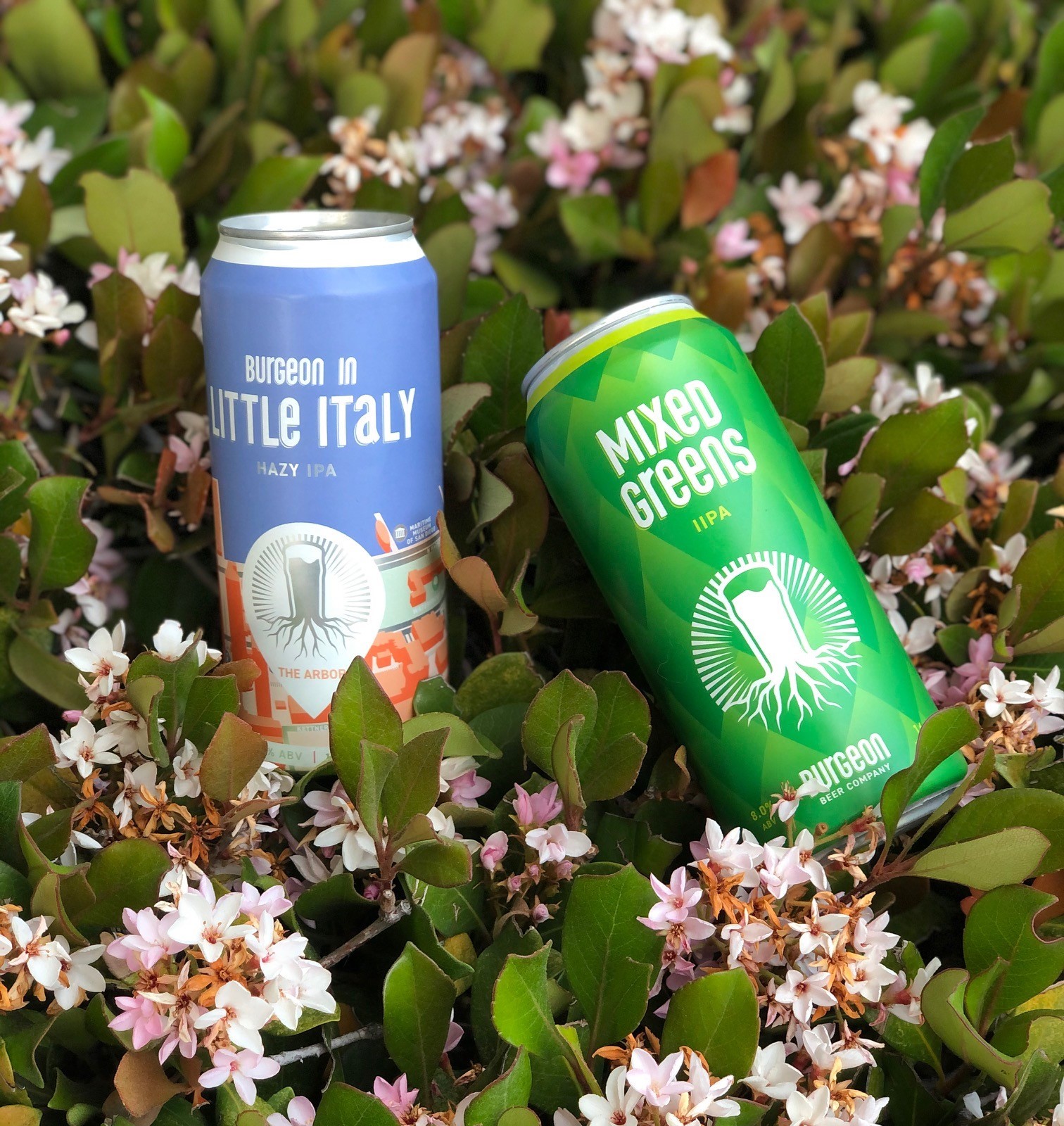 Beer for Breakfast: Burgeon Beer Co. - 91X FM