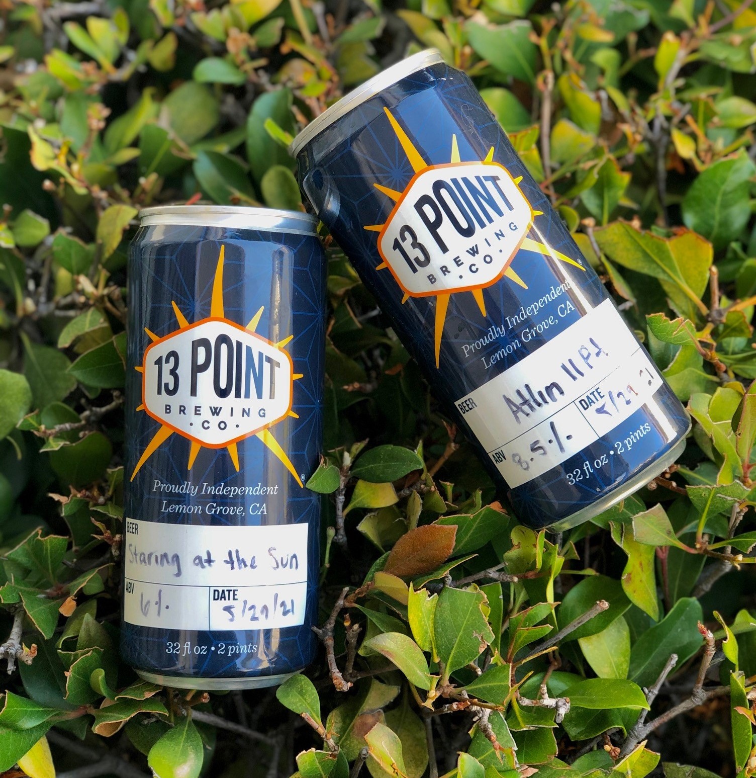 Beer for Breakfast: 13 Point Brewing Co. - 91X FM