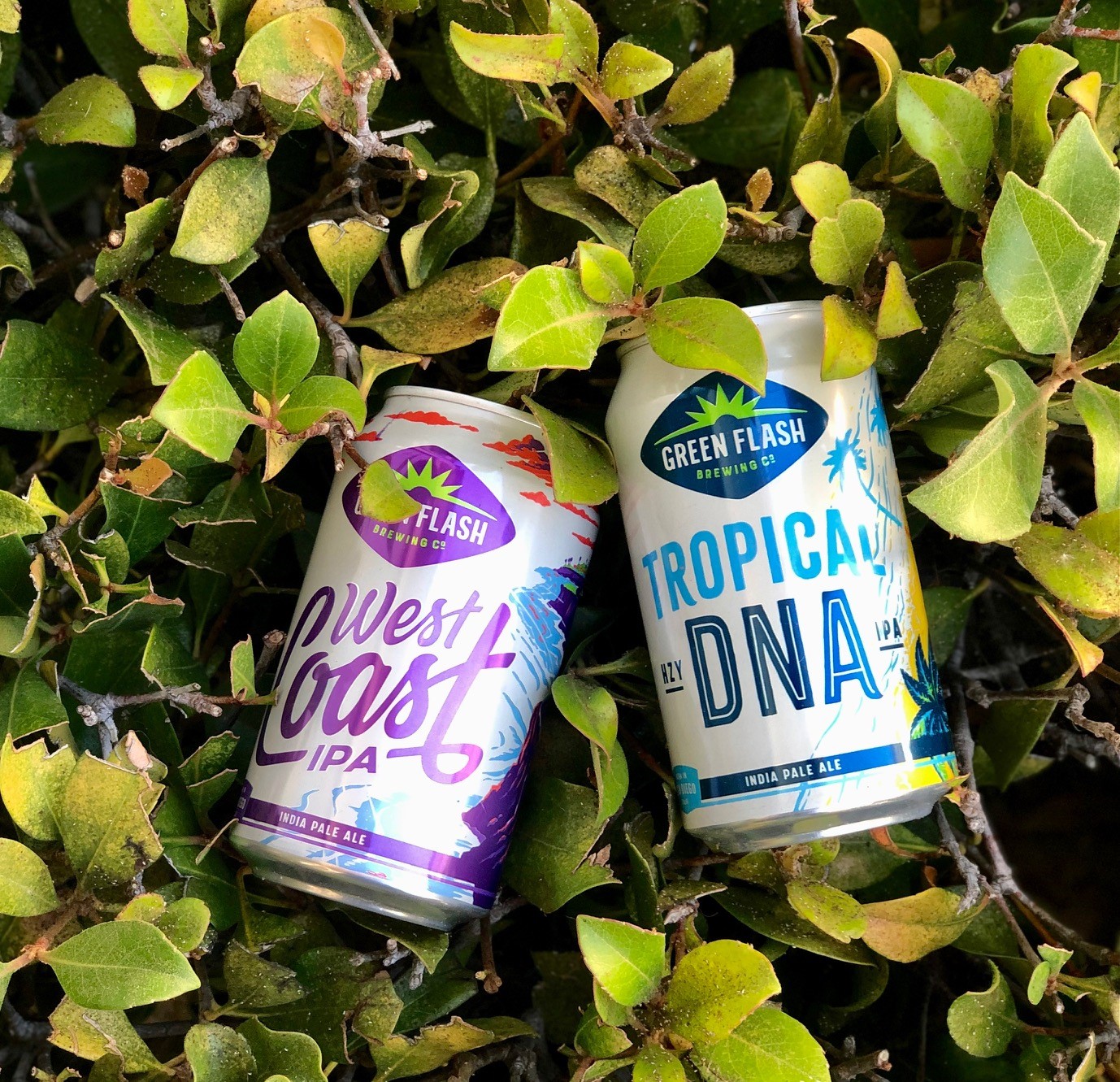 Beer for Breakfast ABV: Green Flash Brewing - 91X FM